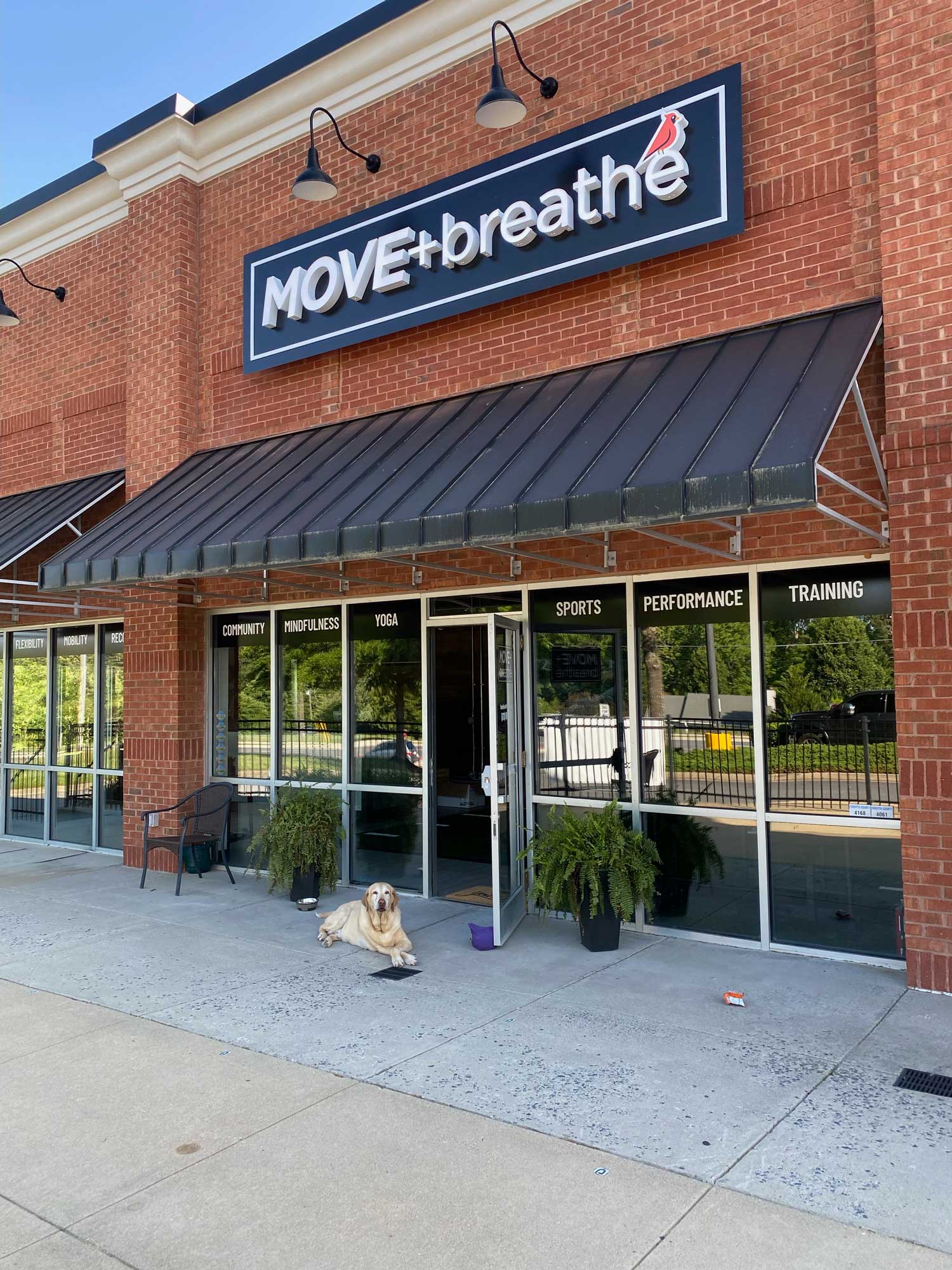 Fitness and Yoga | South Forsyth | MOVE+breathe